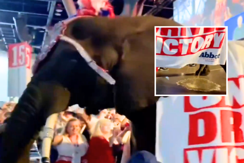 Elephant wearing Abbott banner urinates in middle of Texas GOP convention