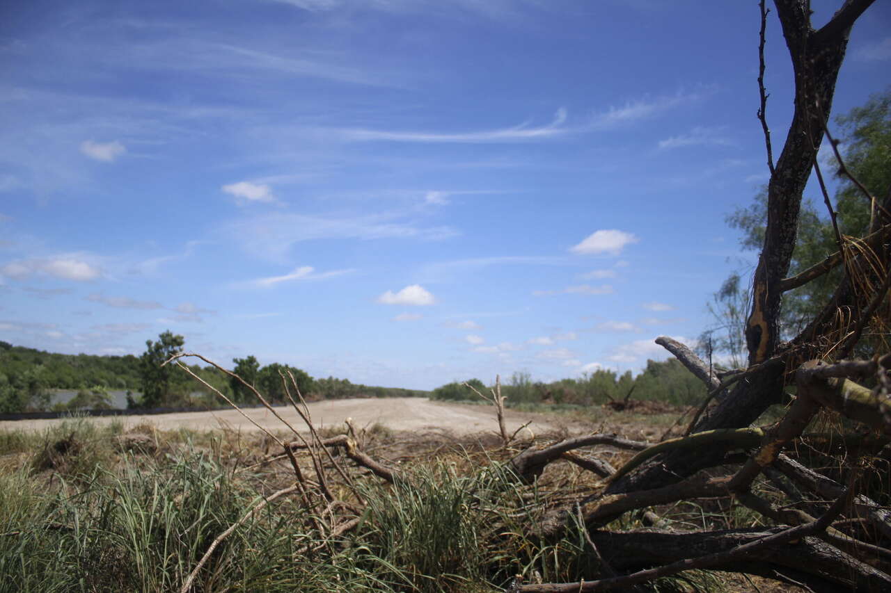'This is nesting season': Border wall work raises concerns near bird ...
