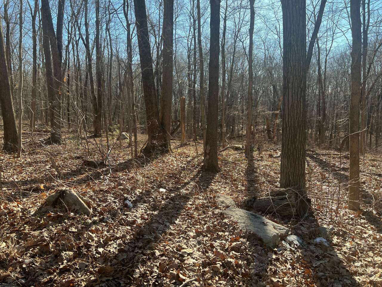 Manchester moves to buy 41-acre property to preserve open space, block ...