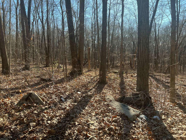 Manchester moves to buy 41-acre property to preserve open space, block ...
