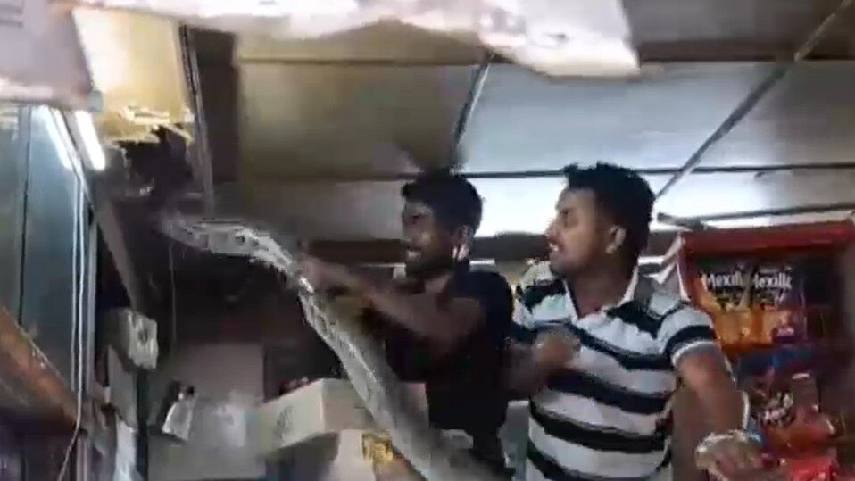 Watch: 7-foot python found in Meerut grocery shop, rescued after 3-hour ...