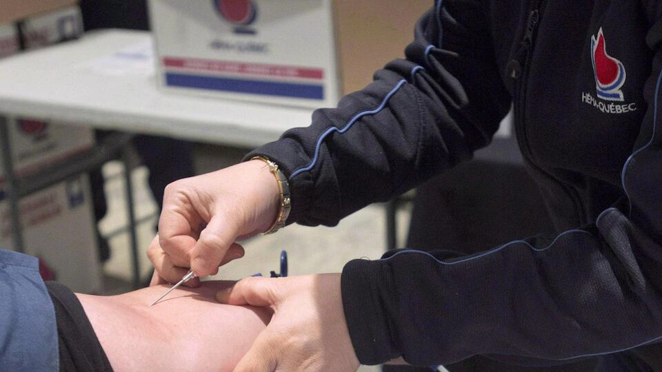 Héma-Québec launches summer outreach campaign to boost blood and plasma ...