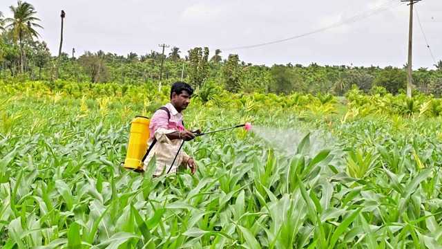 Amid shortage, Karnataka farmers claim sale of fake fertiliser