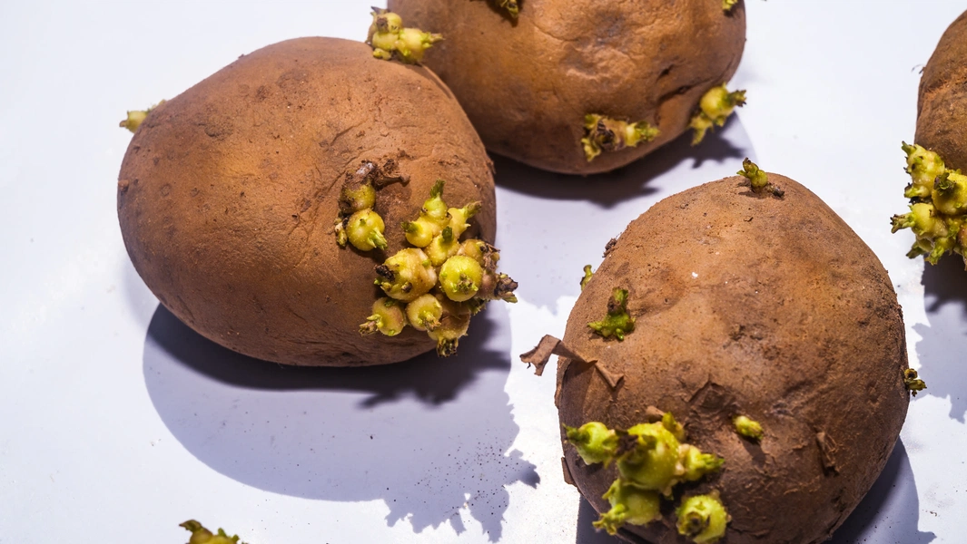 Baking potatoes without foil for crisp skin and safety