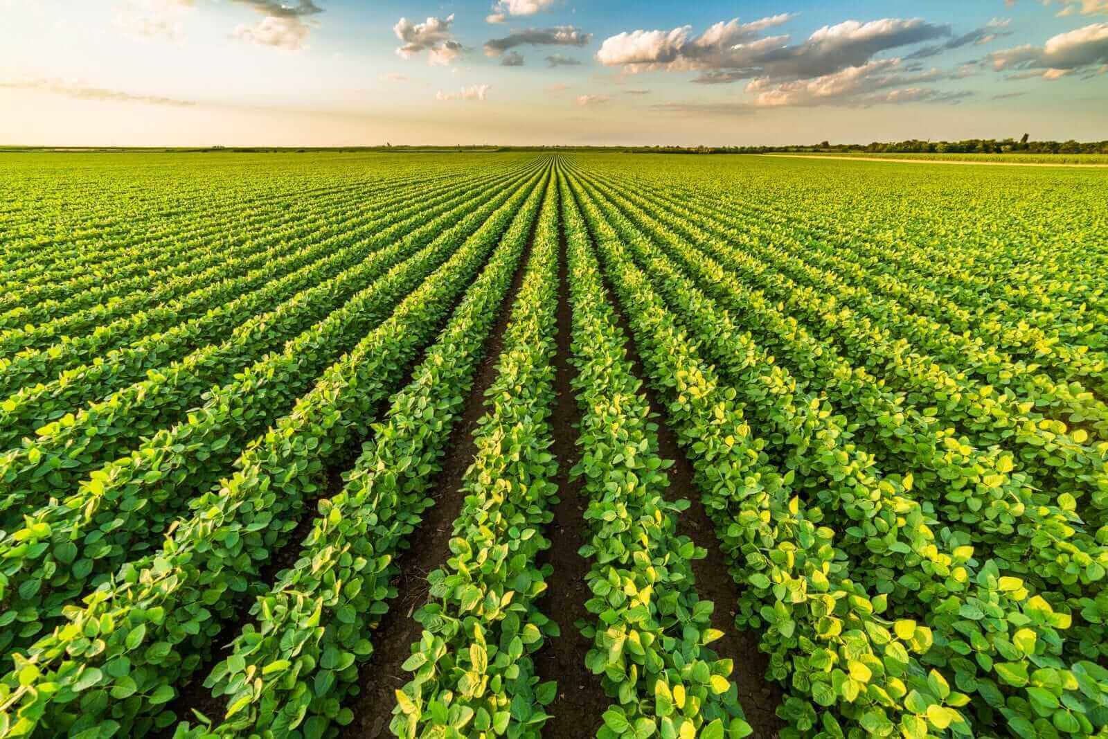 Is Archer-Daniels-Midland stock outperforming the S&P 500?