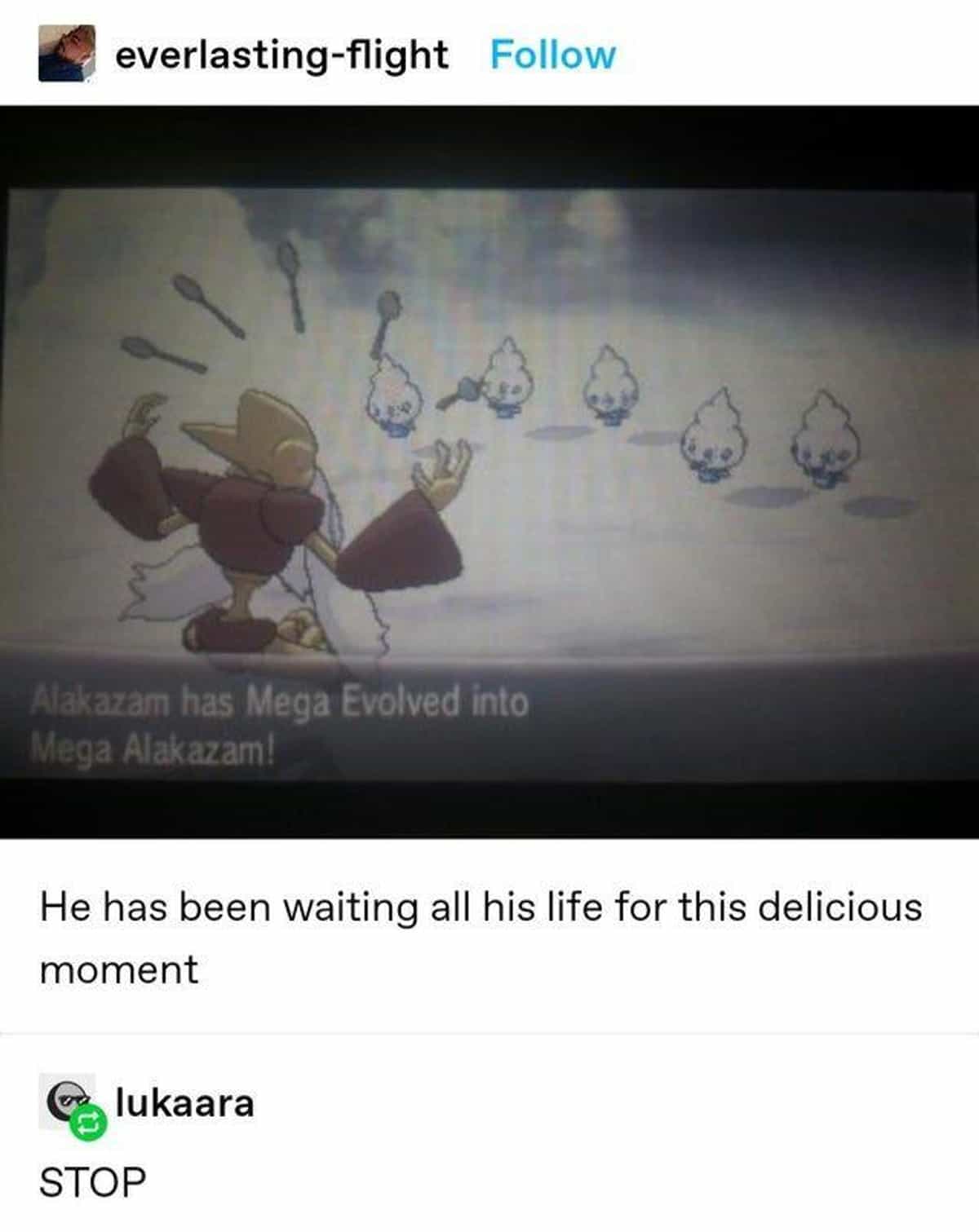 The best Pokémon memes