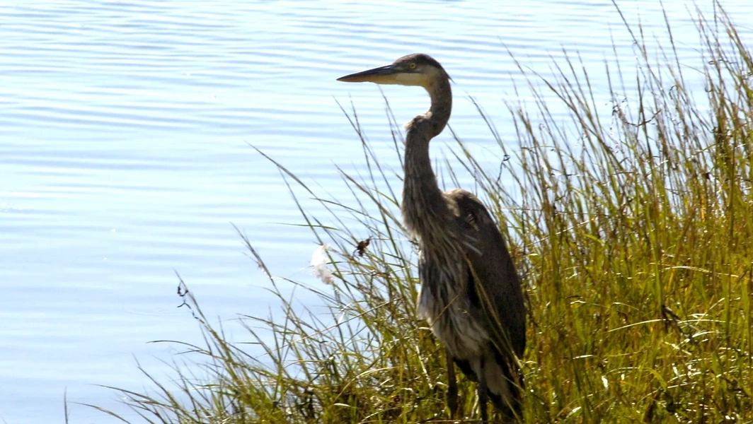 Exploring Indiana's scenic Blue River