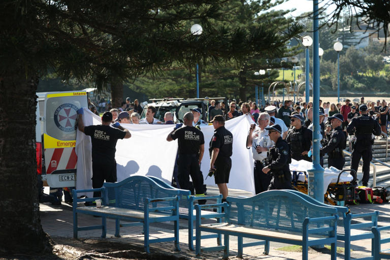 Woman mauled by shark in front of families off popular beach