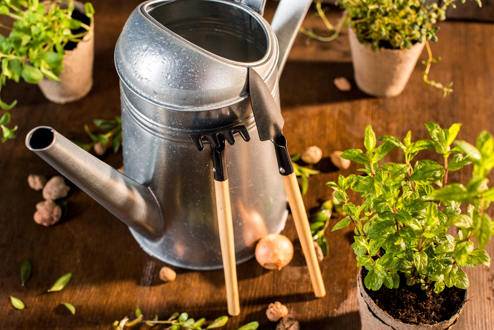 20 tips for growing an herb garden with a retro twist
