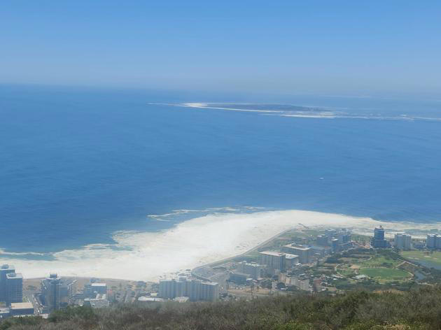 7,5 Kilometer durch den Atlantik schwimmen – zugunsten der Kinder