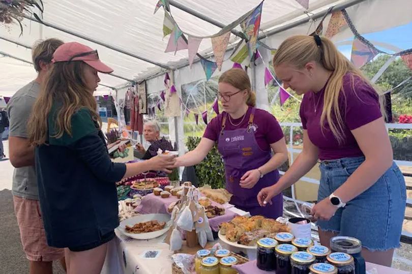 West Cork island celebrating 5 years of lavender with blooming great ...