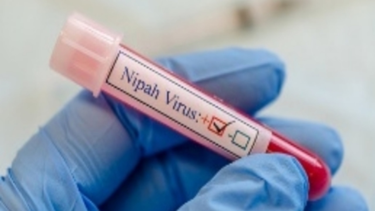 Tamil Nadu beefs up border security in Nilgiris amidst Nipah virus ...