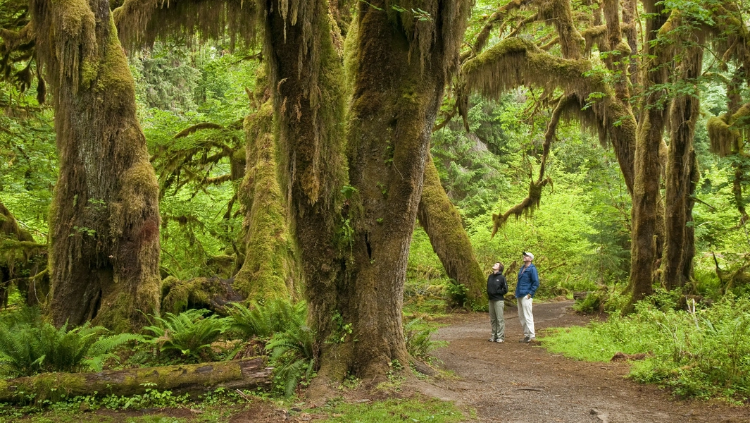 16 scenic trails of Olympic National Park