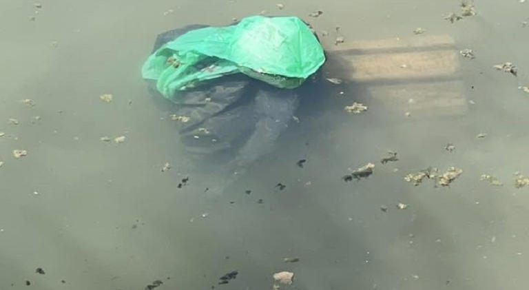 Vandali al parco Laghetti di Rorai, bidoni lanciati in acqua: è la ...