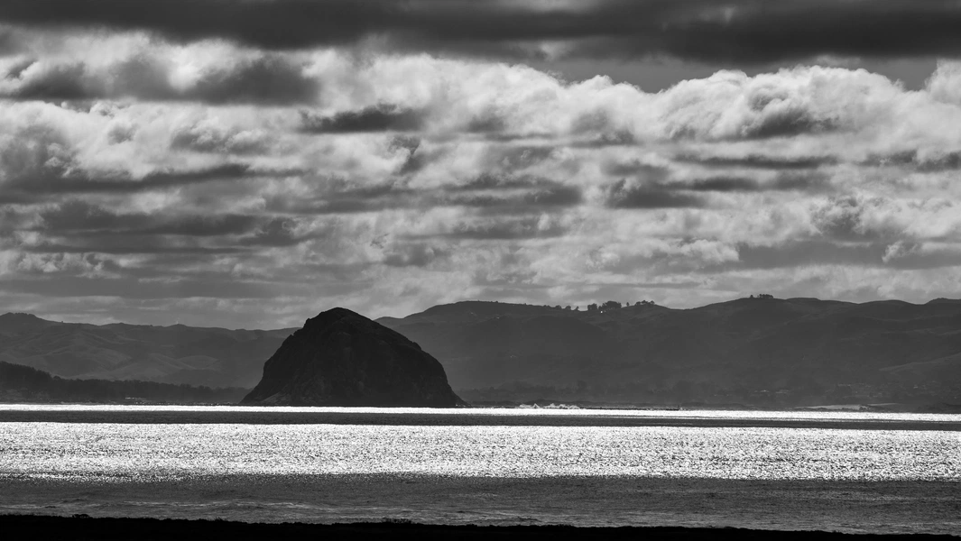 Morro Bay's natural wonders and wildlife