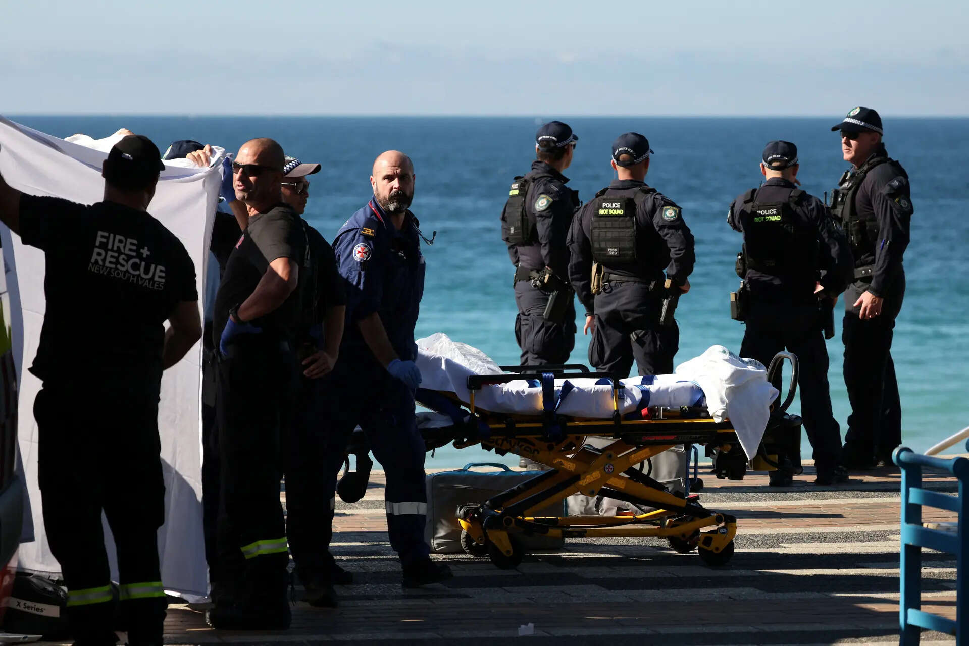 Sydney shark attack leaves woman seriously injured as authorities close ...