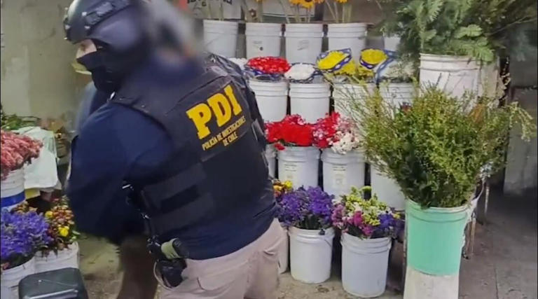 Sobre 100 millones de pesos fueron incautados a presunta organización ...