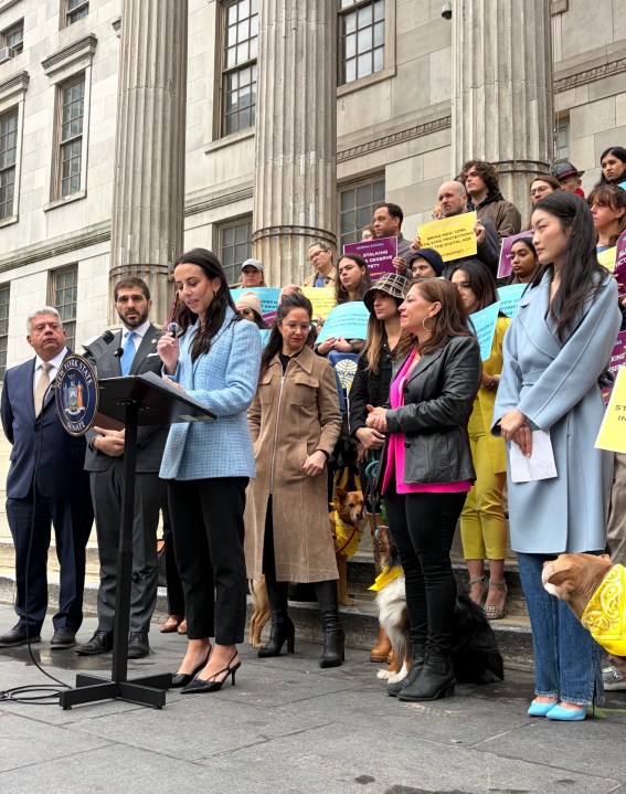 CNY woman advocating for stronger stalking law celebrates major victory ...