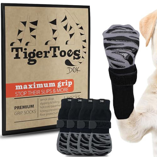 The curator: How to keep your pet cool all summer long