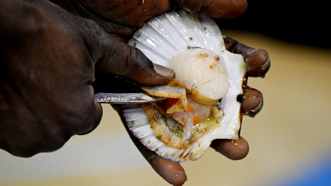 Mastering scallop selection, searing, and serving