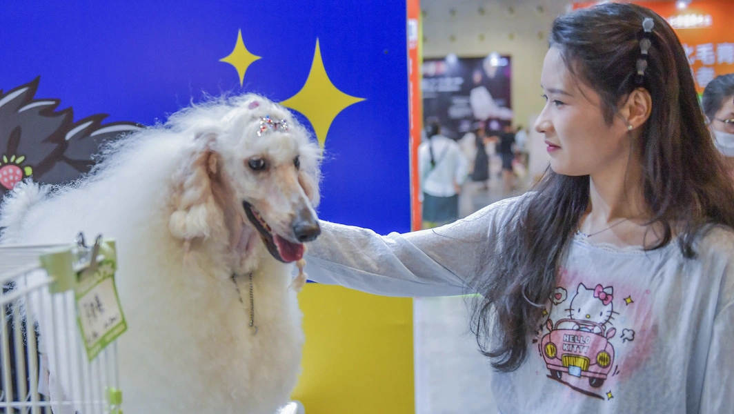 How dogs recognize and bond with humans