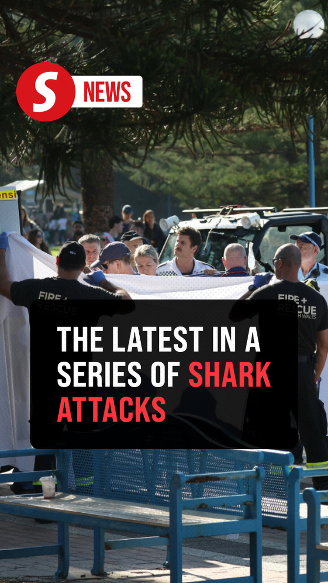 Witnesses and residents 'in shock' after shark mauls woman at Sydney beach