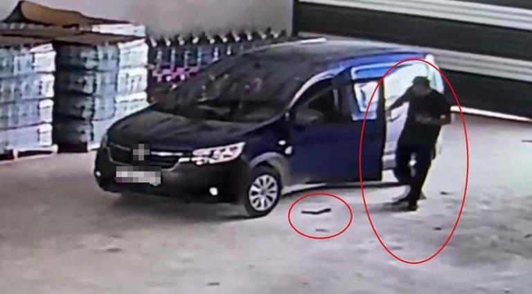 En ölümcülü doğada ortaya çıktı, bir diğeri şehirde kabus yaşattı: Dev ...