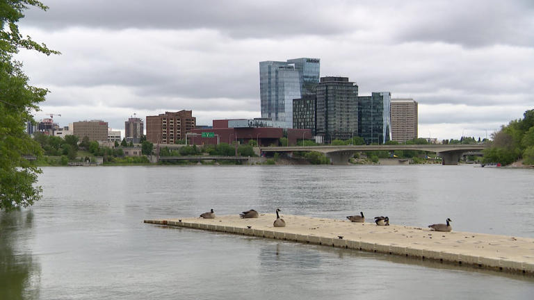 Too fast for paddlers, perfect for the Prairie Lily: Saskatoon’s river ...