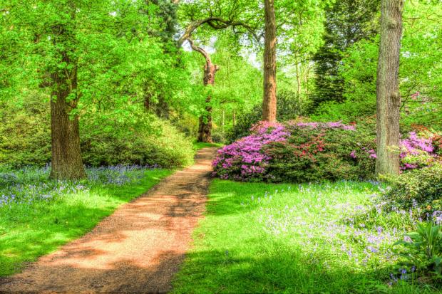 The historic south London park with one of the UK’s most scenic running ...