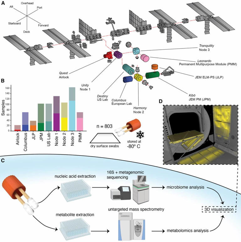 Scientists mapped 803 surfaces inside the ISS and found microbial ...