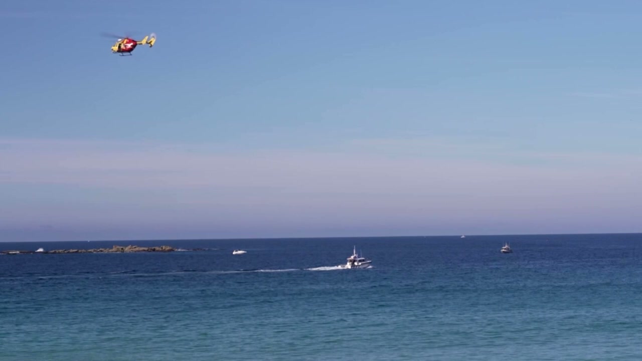 Witness saw 'pool of blood' as shark mauled woman at Sydney beach