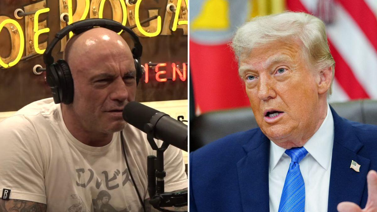 Joe Rogan tells Donald Trump to stick with UFC after Madison Square ...