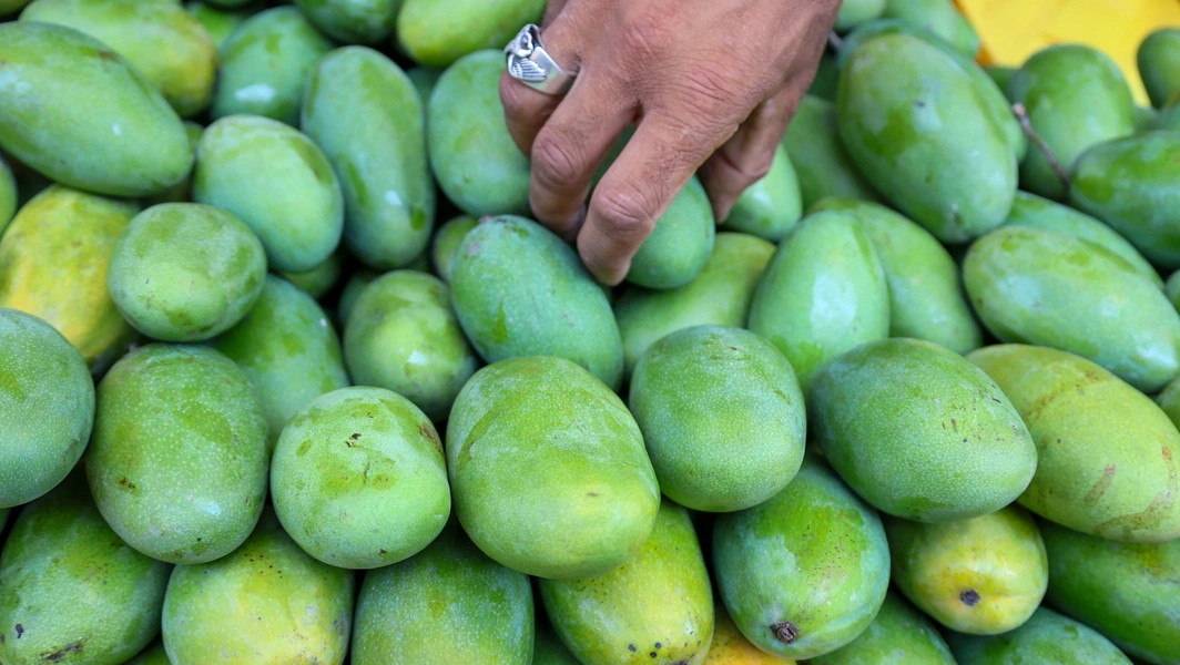 Mango magic from orchard to table