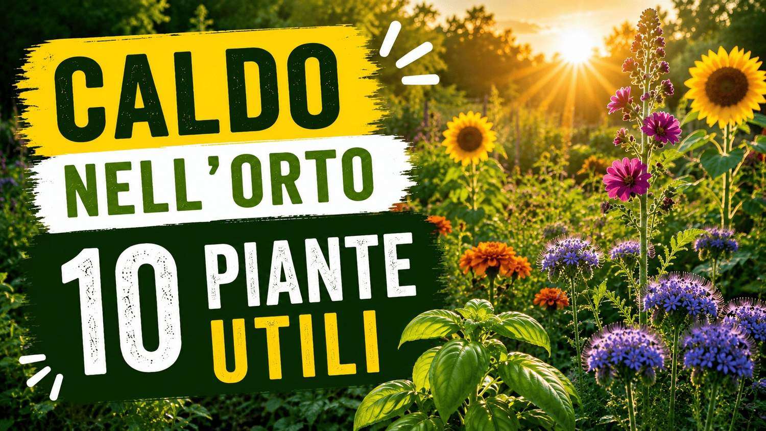 10 piante che aiutano l’orto a resistere al caldo