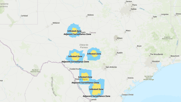 New World screwworm cases in Texas rise to 10, new quarantine zones ...