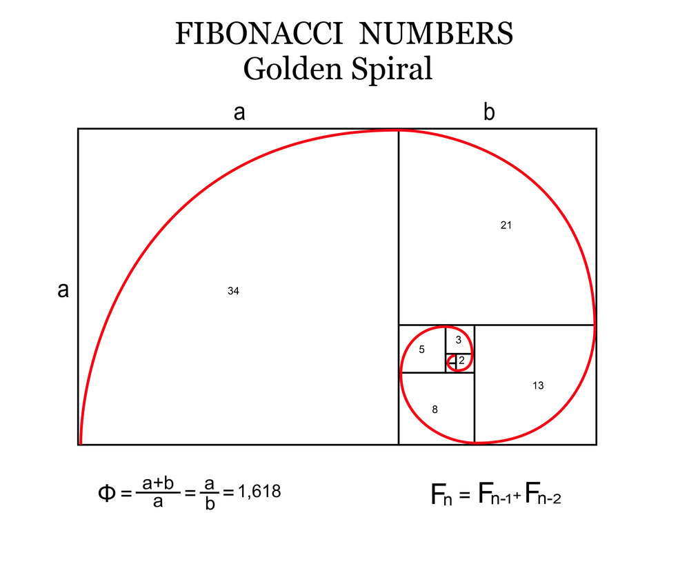 17 mathematical concepts named after their discoverers