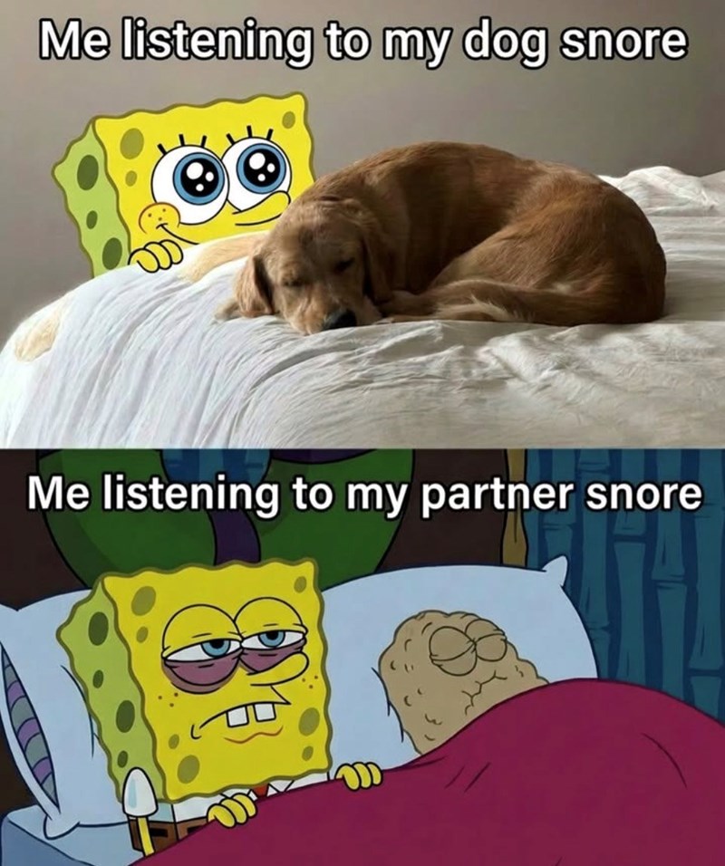 'Good boys get good memes': Dog memes to fill your morning cup with ...