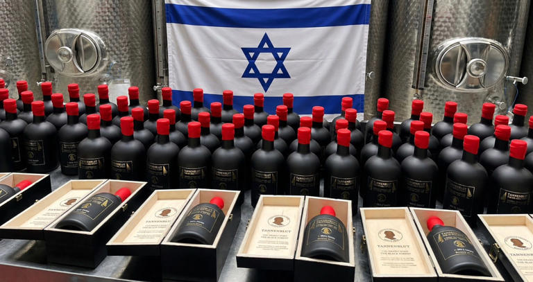 Fighting antisemitism with gin: Kosher spirits project backs Jewish ...