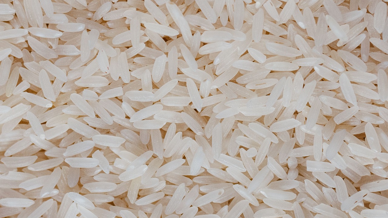 Scientists turned rice into a material that hardens against a hard hit ...