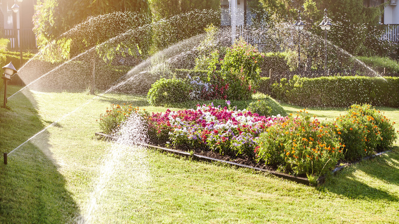 How to fine-tune your sprinkler system to cut down on expenses and ...