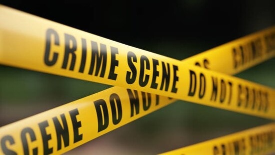Four die near Goa’s Dudhsagar waterfall; three from same family: Police