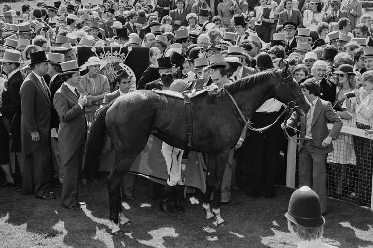 Iconic racehorse Shergar killed in an awful way after kidnapping