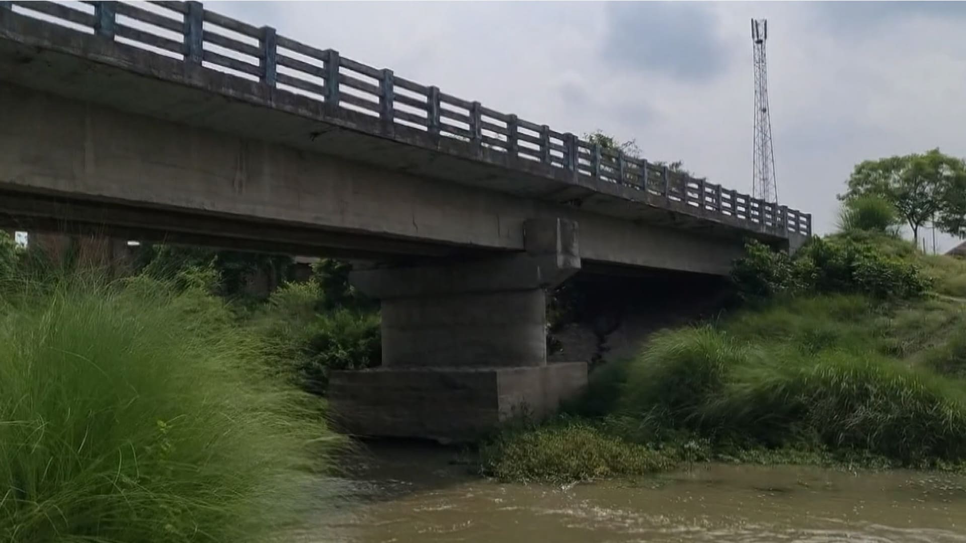 Concrete falls off Bihar bridge, exposed steel bars raise alarm