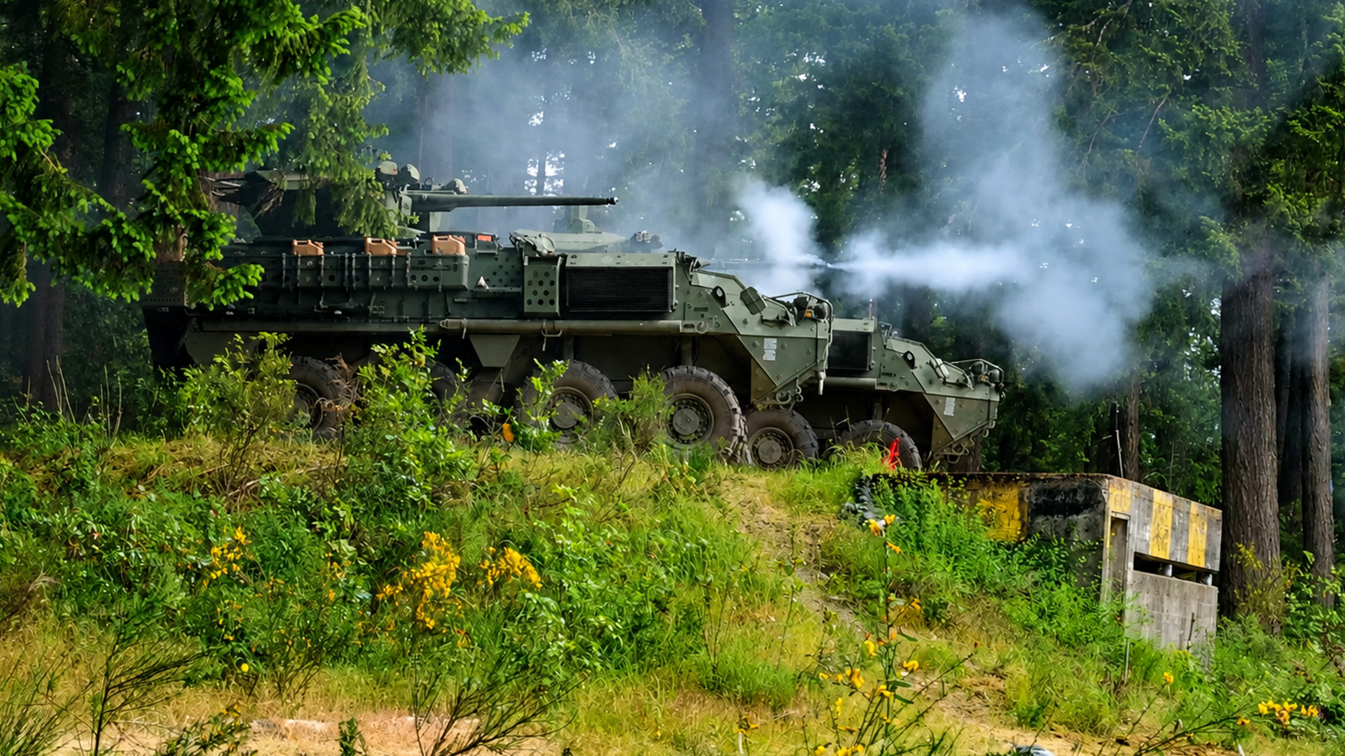 Les Stryker de 30 mm ouvrent le feu lors d'un exercice de tir réel