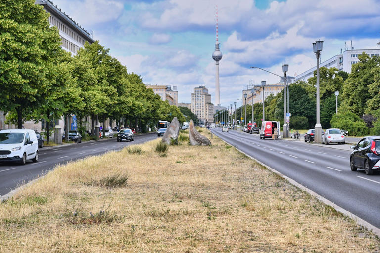 Verdorrter Grünstreifen auf der Karl-Marx-Allee: Der Bezirk sagt, das ...