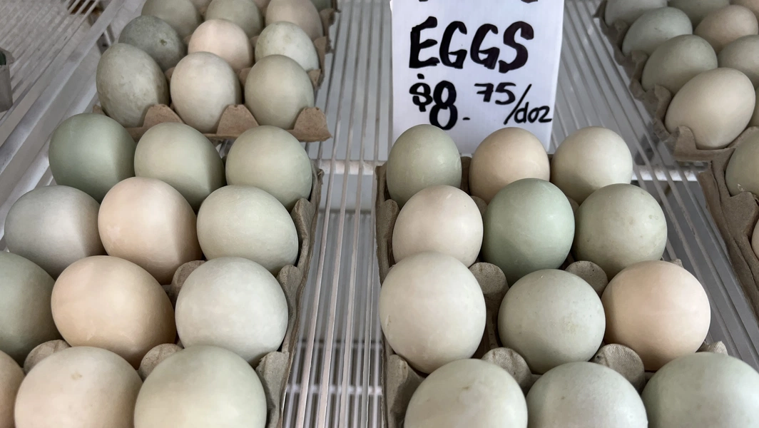 10 unique edible eggs from around the world