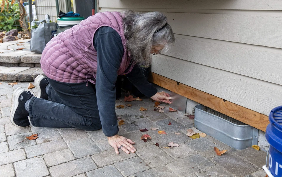Smart pest control tips every homeowner should know