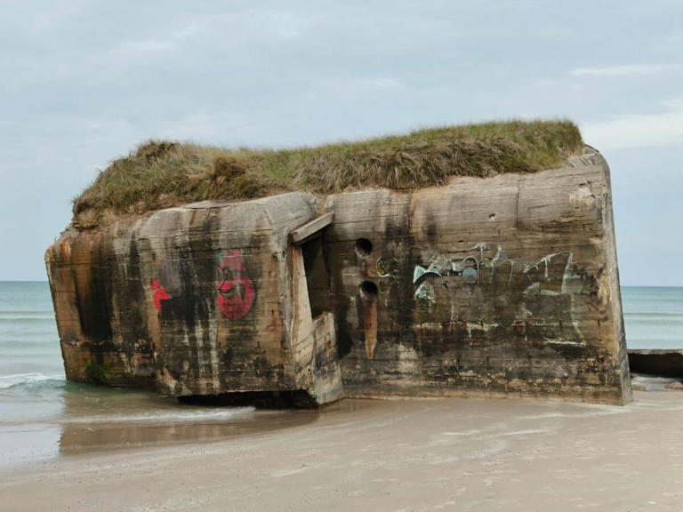 Bunkers allemands : un héritage de 8 000 vestiges qui défie les ...