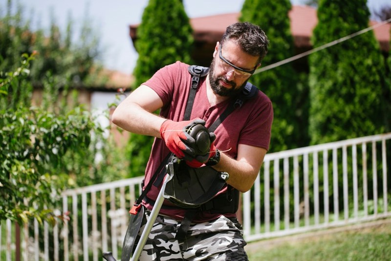 Neighbor cuts down homeowner's trees without permission, then sends him ...