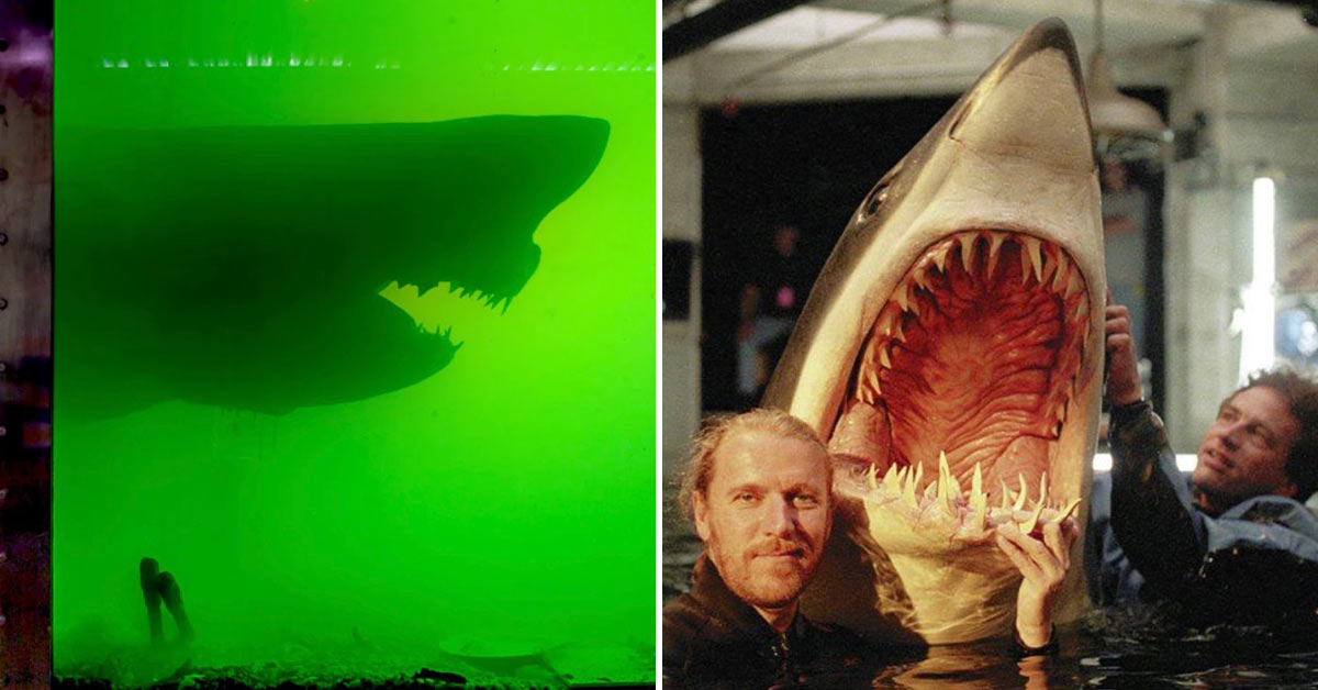 Shark photos that'll keep you out of the ocean